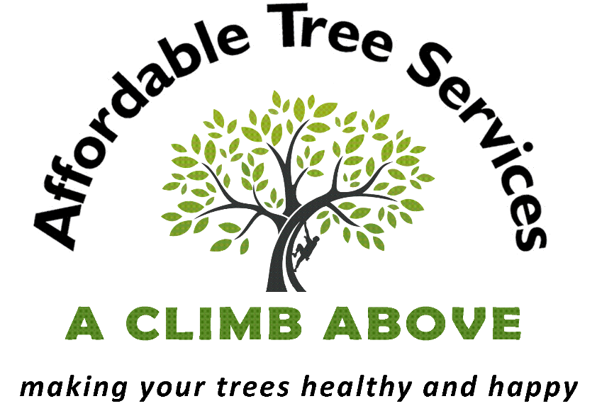 Tree Service Logo Designs