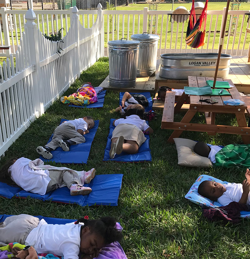 Summer Learning | The Apple Tree School