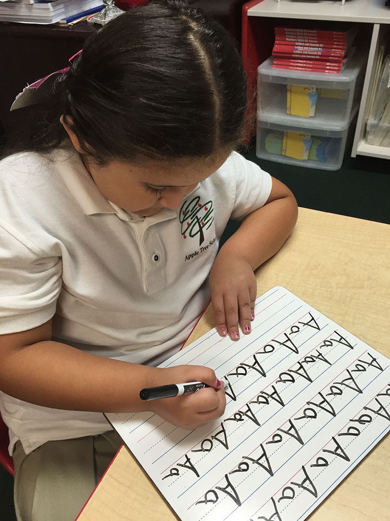 Get To Know Us | The Apple Tree School