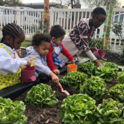 Get To Know Us | The Apple Tree School