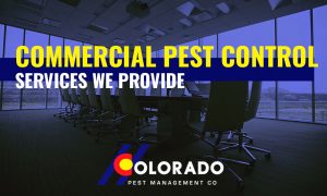 Commercial Pest Control In Denver - Call Our Exterminators Today ...