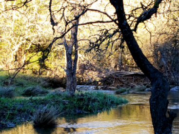 Creekside Ranch Group, LLC - Texas Rural Property For Sale - Owner ...