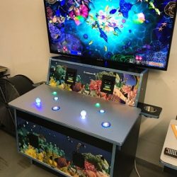 Arcade Cabinets - Top Fish Game Cabinets | Fish Game Kings