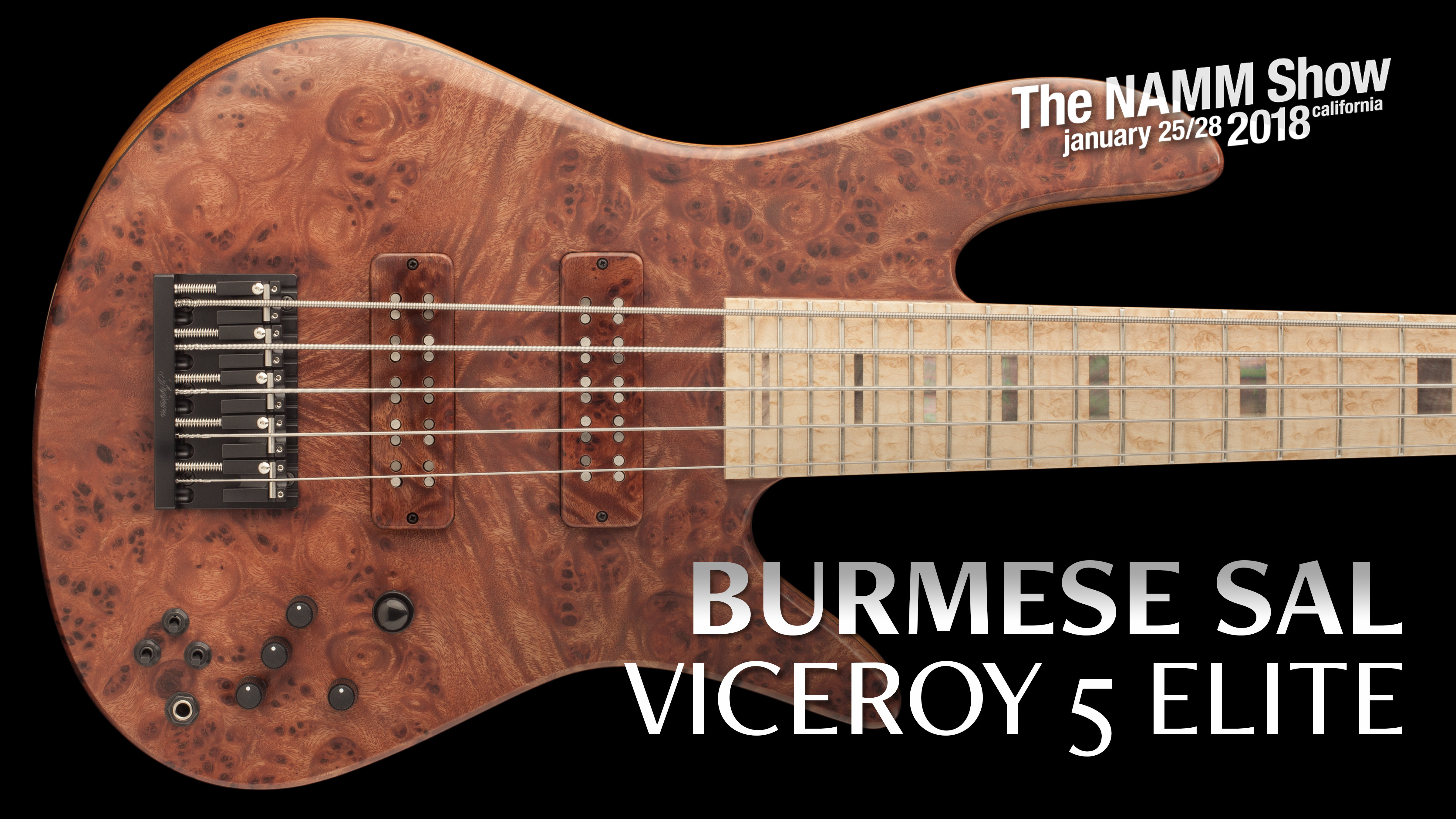 Custom Bass Guitars | Custom Made Guitars | Custom Guitar Shop - Fodera ...