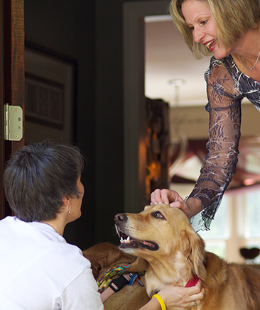 Dog Walking Cincinnati | Dog Sitter Ohio | Vip Pet Care 45236 - Happy ...