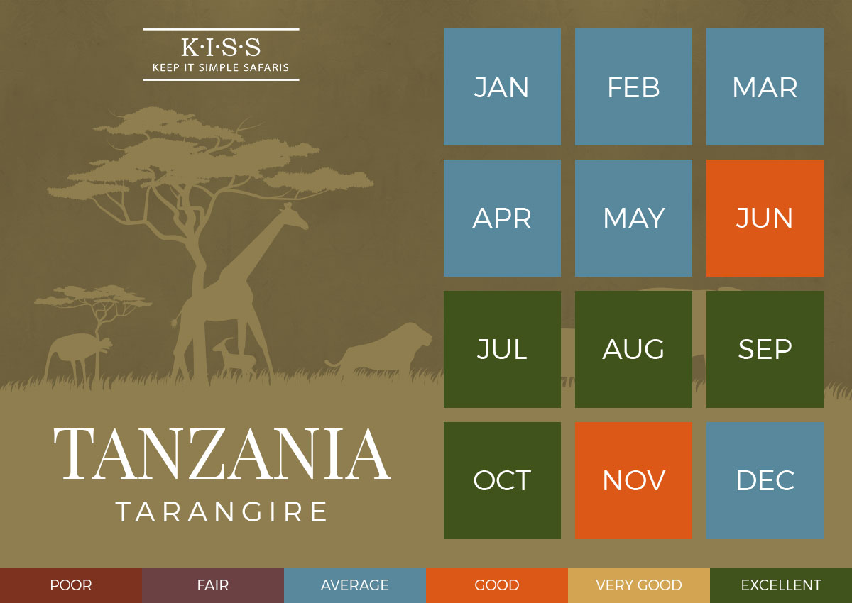 Safari Experience - Best Safari Months | Kiss Safaris