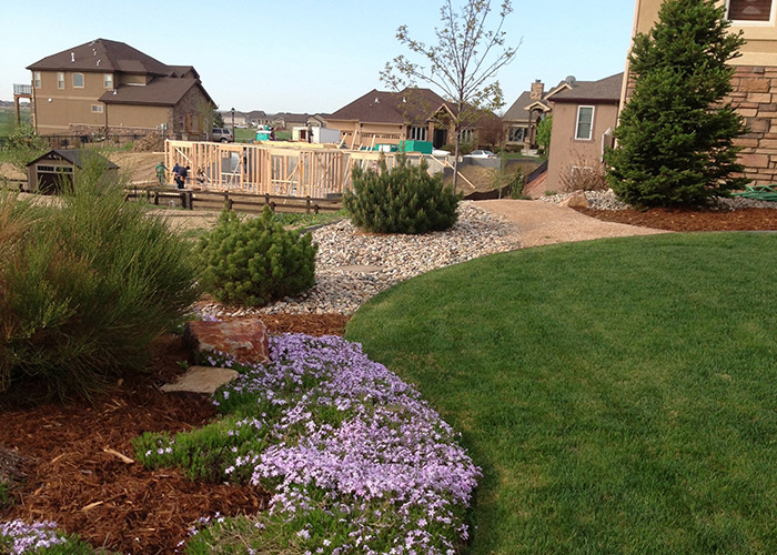 Landscaping Project Gallery | Showcase Landscape & Irrigation