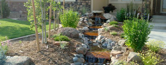 Landscaping Project Gallery | Showcase Landscape & Irrigation