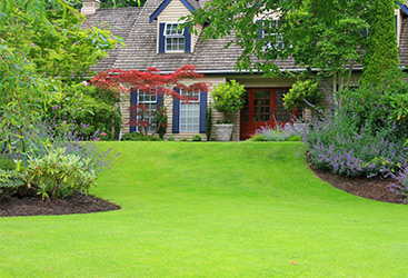 Lawn Care Services NJ | Guaranteed Results | Lawn Connection