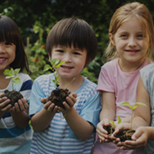 Oak Forest Academy Houston, TX