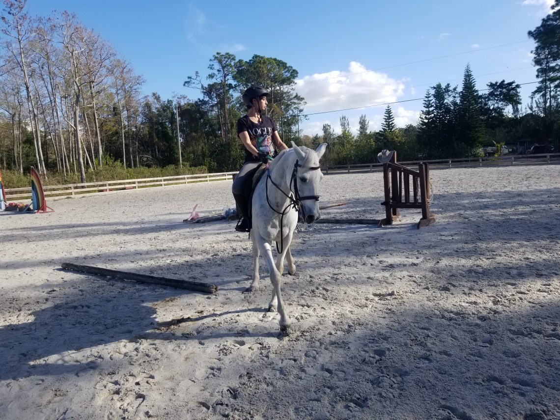 Horseback Riding Lessons Lake Worth Horseback Riding Lessons Near Me 