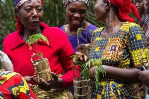 Welcome to Red Rocks Rwanda | Red Rocks Intercultural Exchange Center