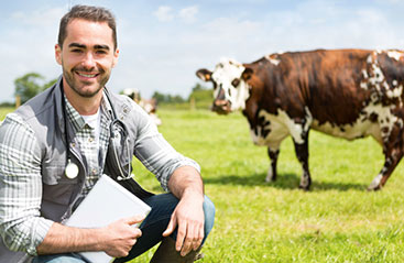 Large Animal Services Overview | Southern Hills Veterinary Services, Inc.