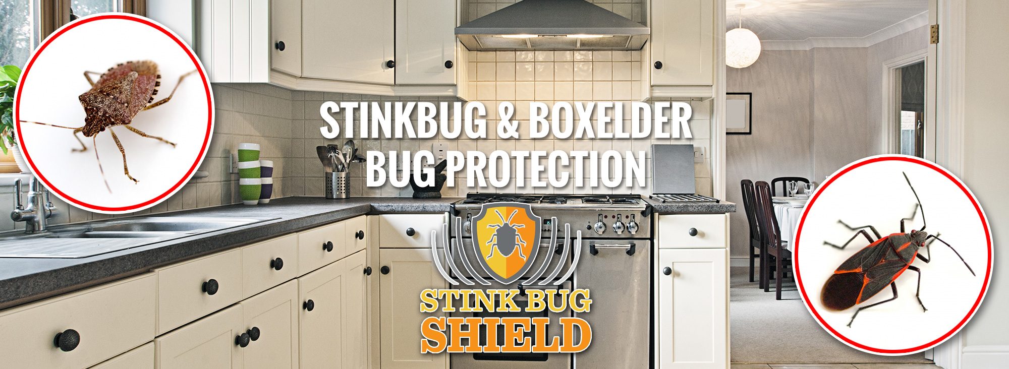 Tapout Termite And Pest Control Residential & Commercial Services