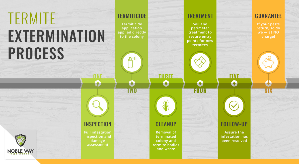 Termite - Termite Inspections And Extermination In Sacramento | Noble ...