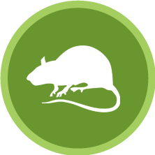 Trust Olympus - Eco-Friendly Pest Control In The Greater Puget Sound