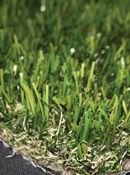 Grass Styles - Artificial Turf Santa Monica