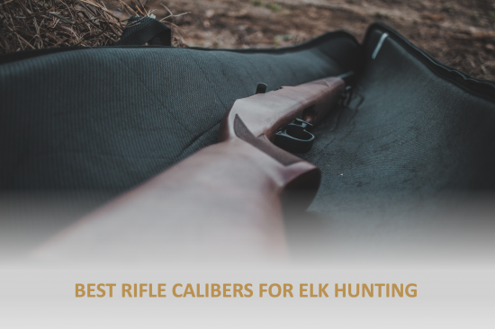 What are the best calibers for elk hunting? | West Canyon Ranch
